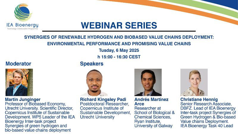 Synergies of renewable hydrogen and biobased value chains deployment ...